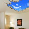 DressLily.com: Photo Gallery - Blue Sky and White Clouds 3D Solid ...